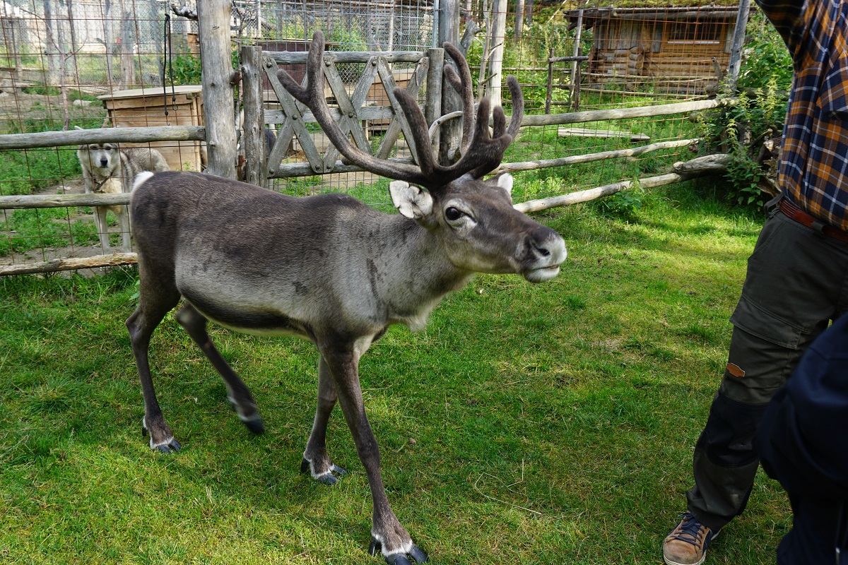 Wanderreise - die große Nationalparkrunde